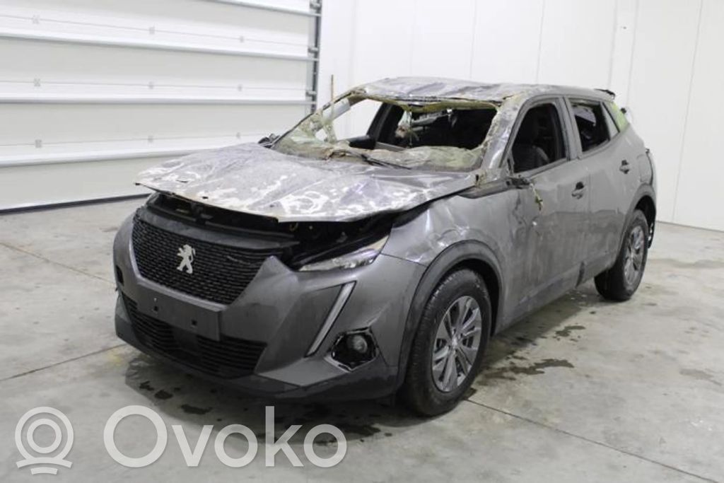 9824652580 Peugeot 2008 II Moulure de porte arrière, 20.00 € | OVOKO