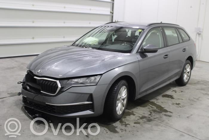 04L903315C Skoda Octavia Mk4 Galet tendeur de la courroie d'alternateur ...