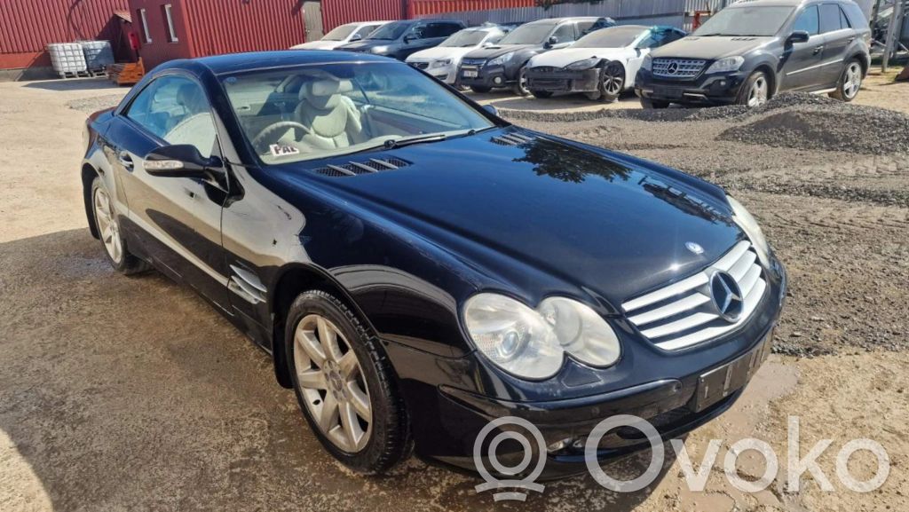 A2307200174 Mercedes-Benz SL R230 Boîte de rangement de porte avant ...