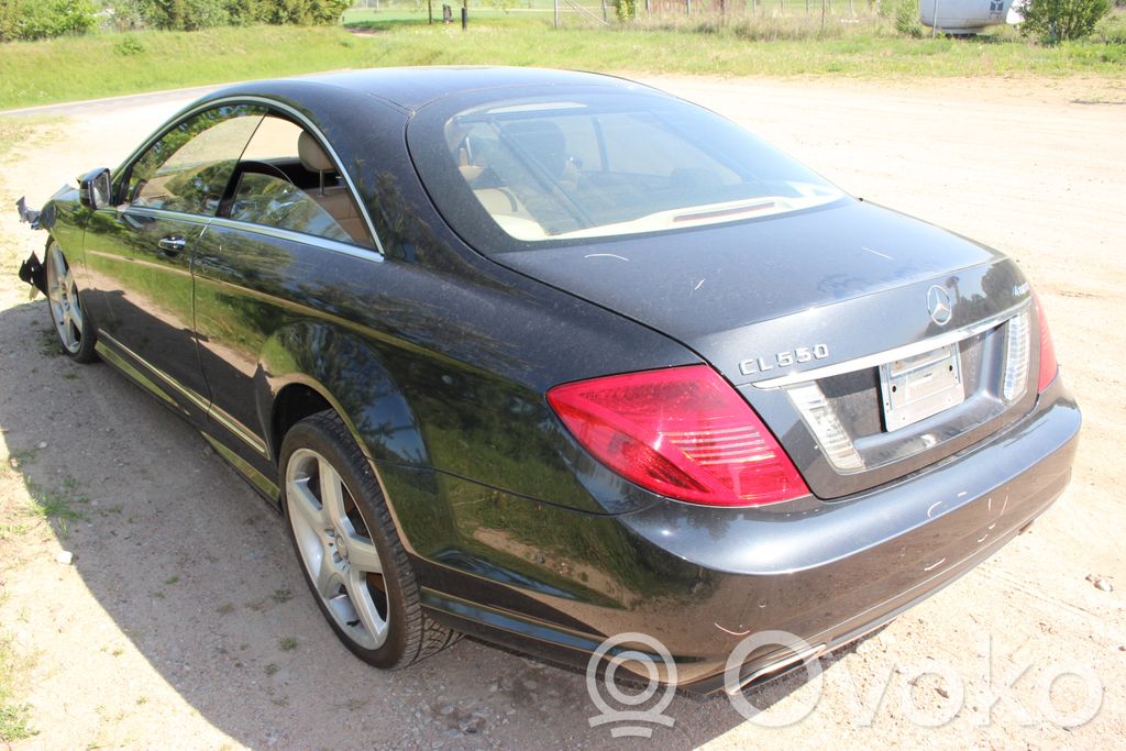 A2218306815 Mercedes-Benz CL C216 Air conditioning (A/C) pipe/hose, 23. ...