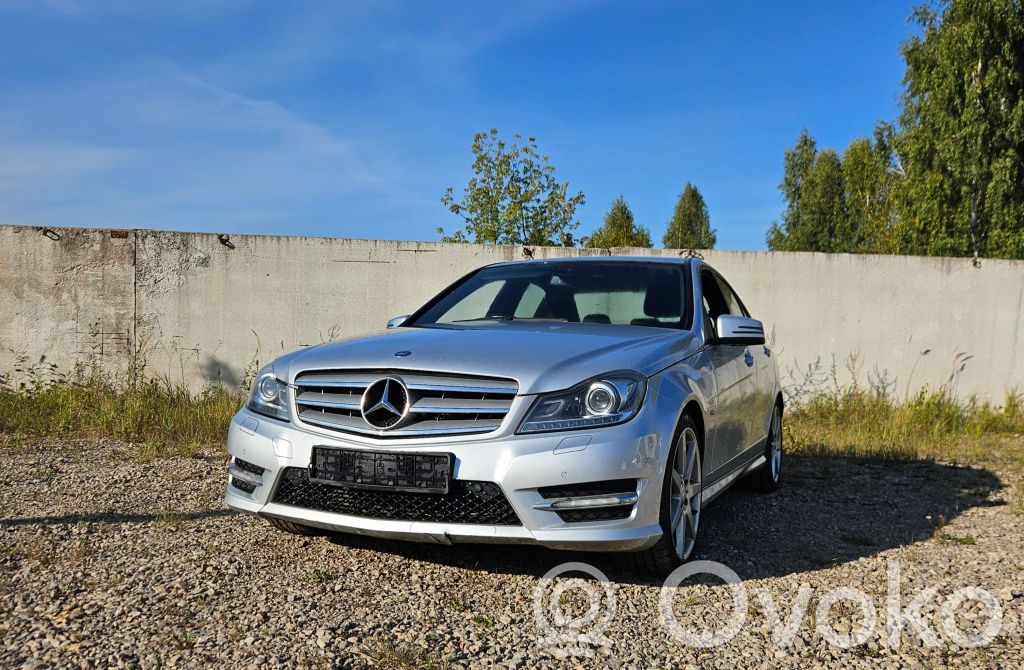 A2048306754 Mercedes-Benz C W204 Garniture, panneau de grille d ...