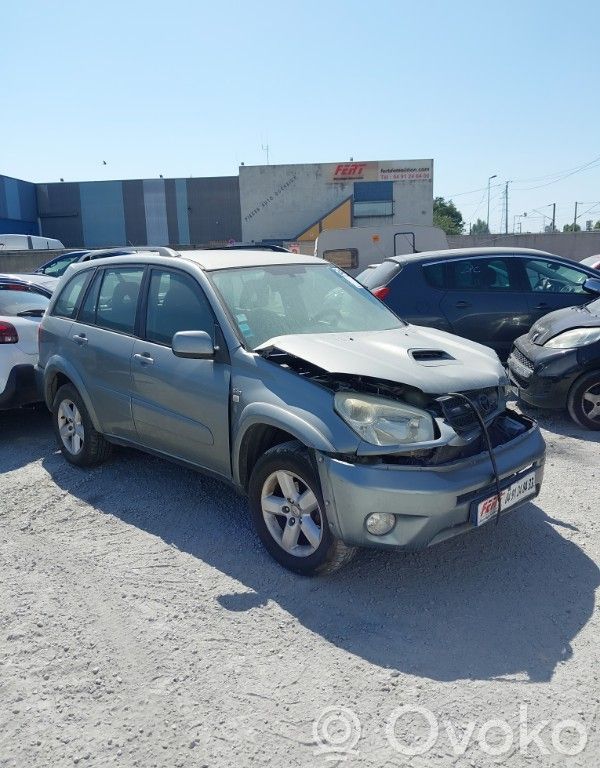 6700442050 Toyota RAV 4 (XA20) Porte arrière, 217,00 € | OVOKO