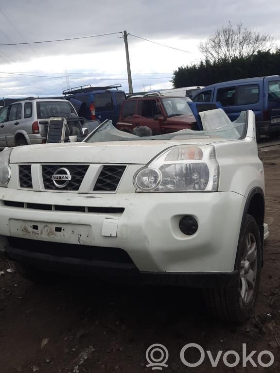 Nissan X-Trail T31 Engine bonnet/hood hinges, €13.61 | RRR