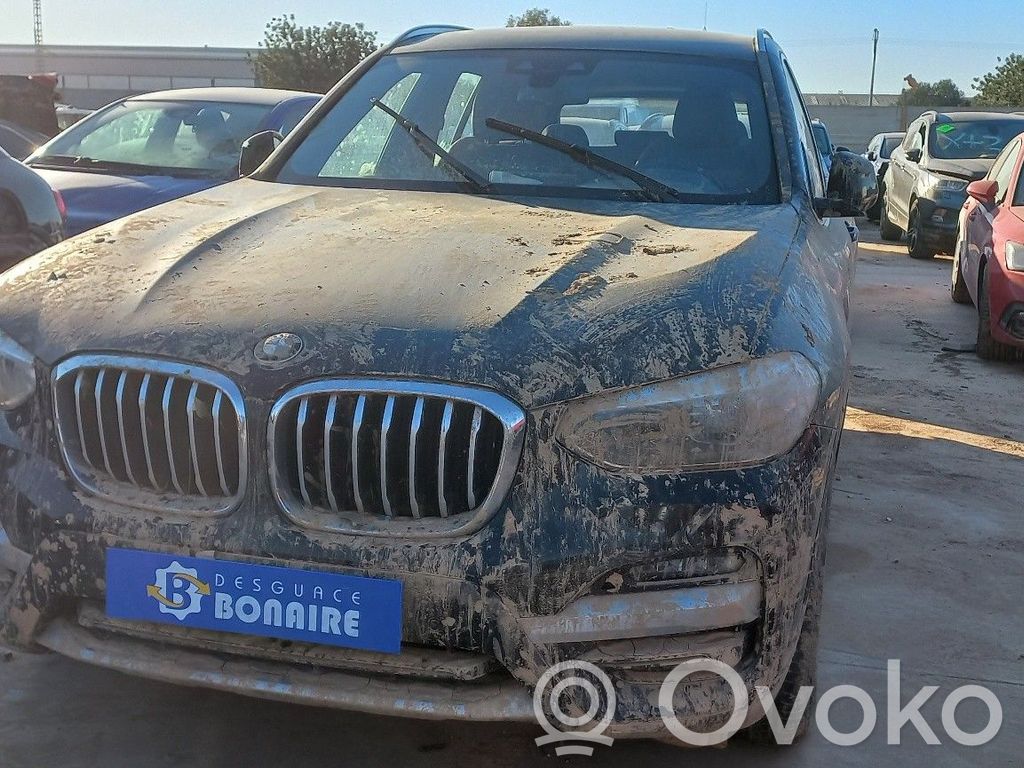 41007494942 BMW X3 G01 Porte arrière, 830,25 € | OVOKO