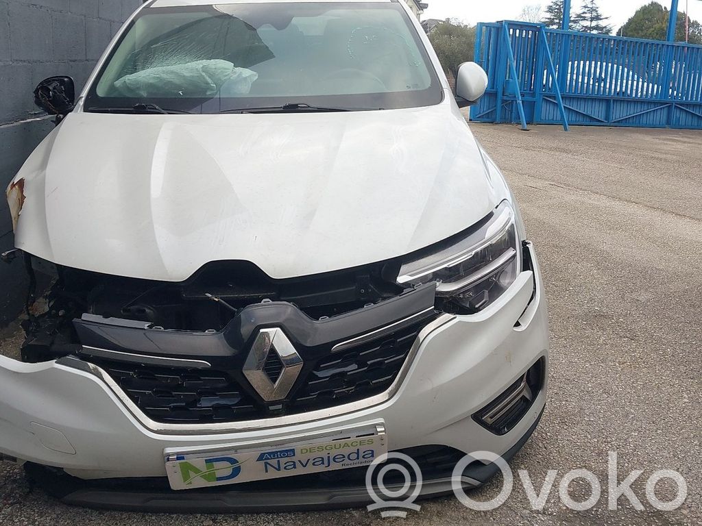963044417R Renault Arkana Etuoven sähköinen sivupeili, 327,50 € | OVOKO