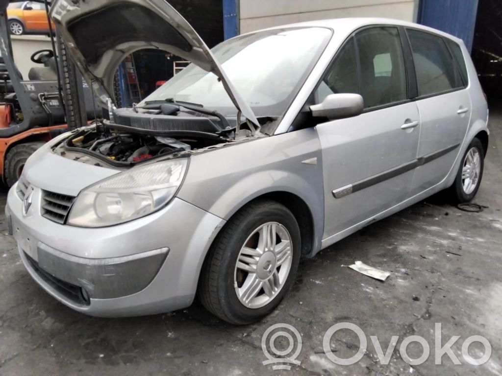 8200201617 Renault Scenic II - Grand scenic II Öljyntäyttöputki, 37,51 ...