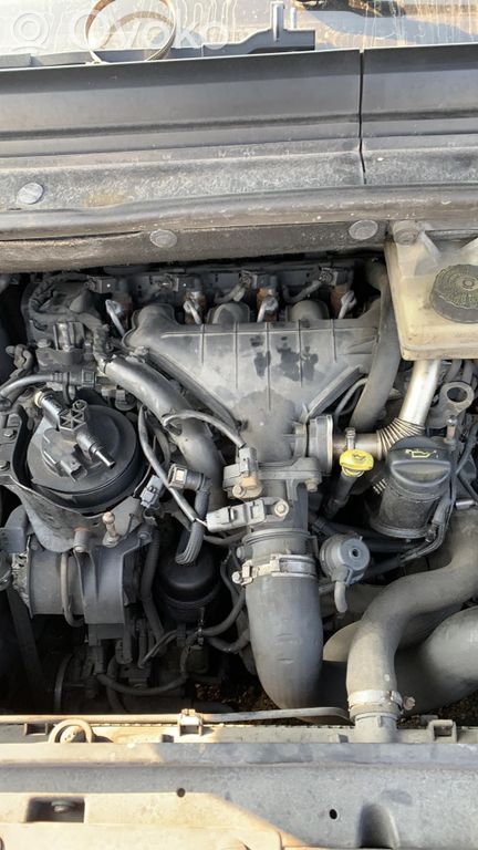 Citroen C4 Grand Picasso Engine bonnet/hood hinges, €40.00 | RRR