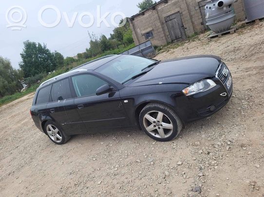 Audi A4 S4 B7 8E 8H Priekinės durys, 36,00 € | RRR