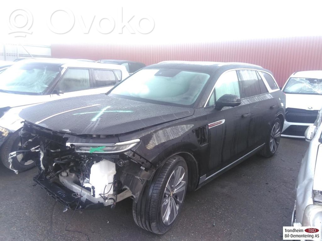 5511055-QR02-B Hongqi E-HS9 Front door card panel trim, €145.34 | RRR