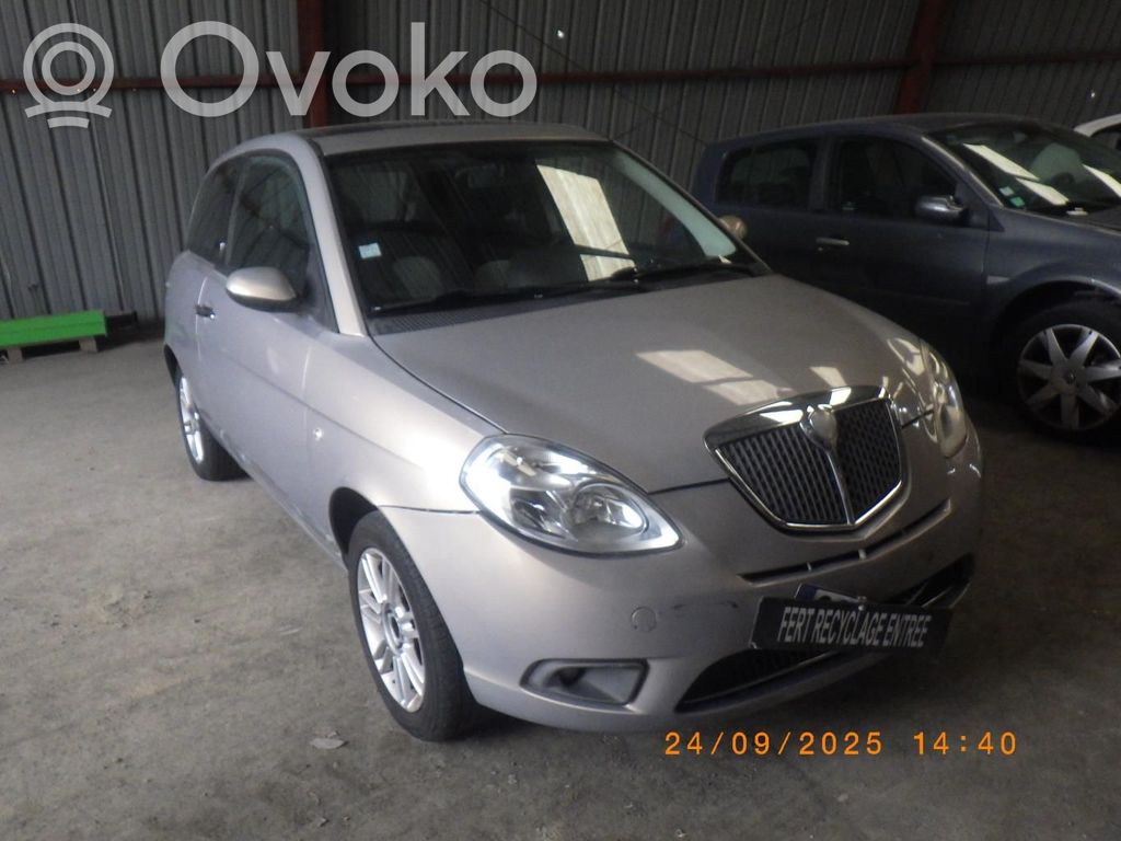 Lancia Ypsilon Générateur / alternateur, 39,90 € | OVOKO