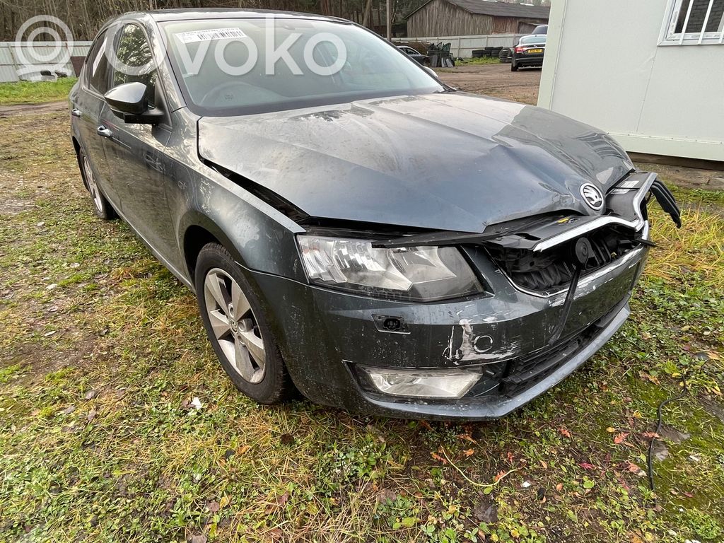 5N0943021 Skoda Octavia Mk3 (5E) Number plate light, €11.00 | RRR