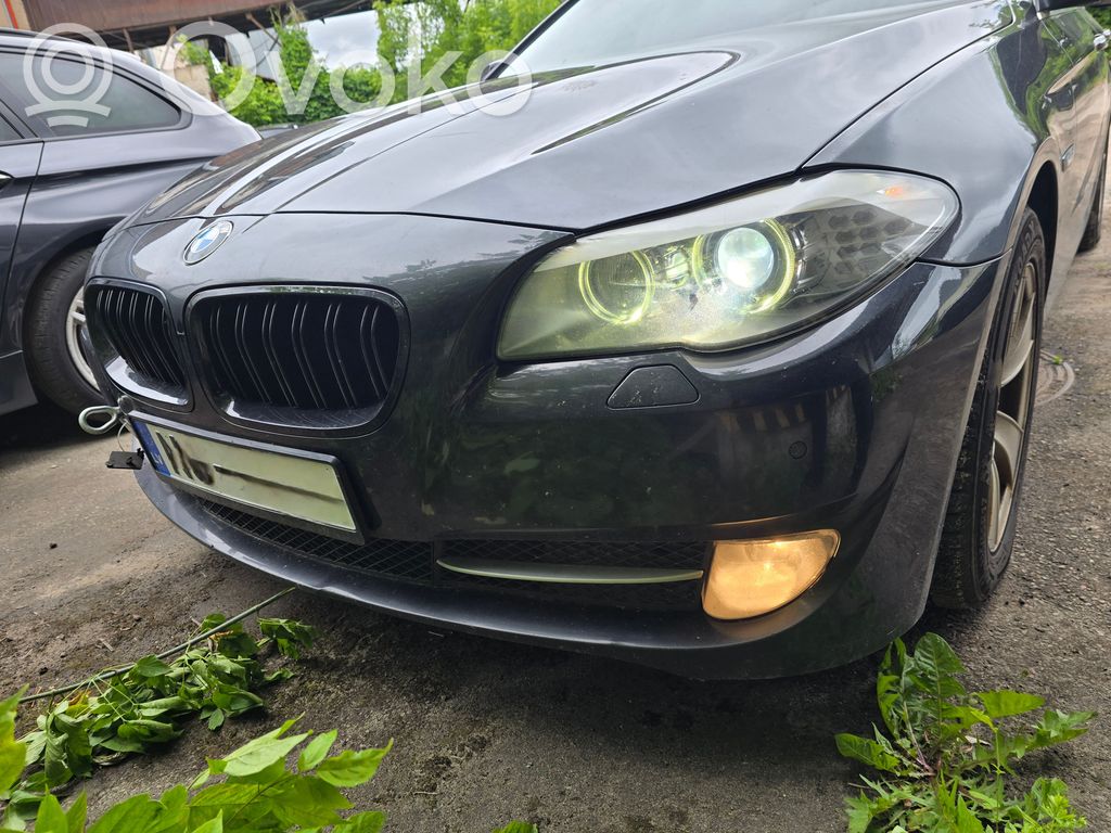 1777773 BMW 5 F10 F11 Front door card panel trim, €45.00 | RRR