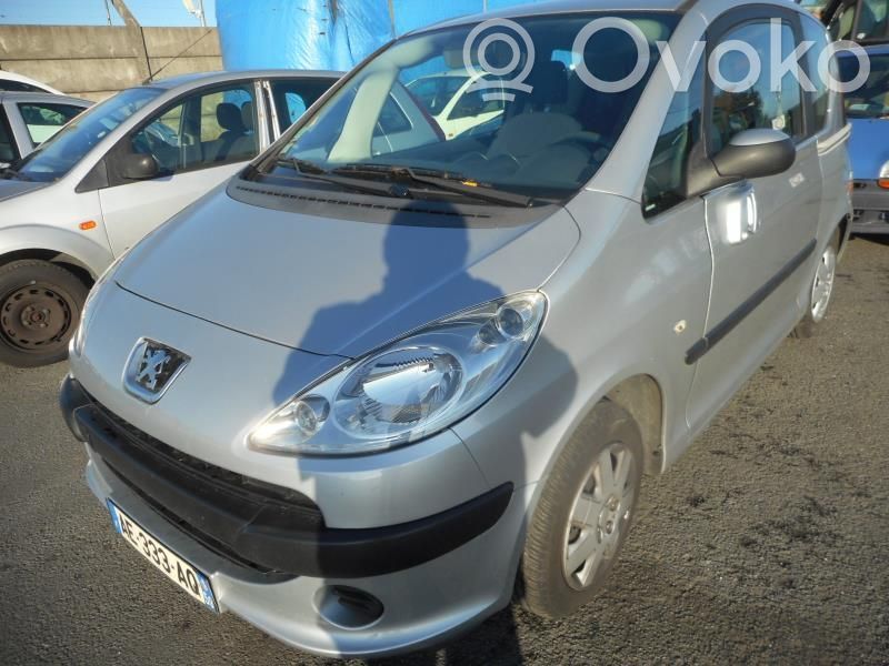 7901Q5 Peugeot 1007 Engine bonnet/hood, €80.00 | RRR