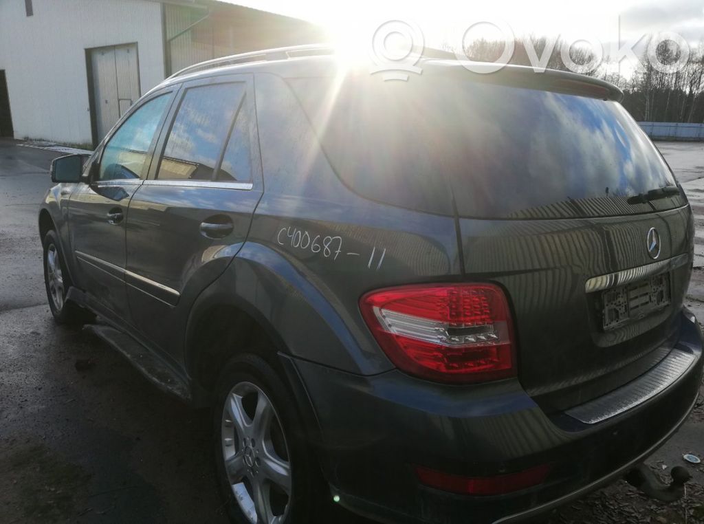 2517201637 Mercedes-Benz ML W164 Charnière inférieure de porte avant ...