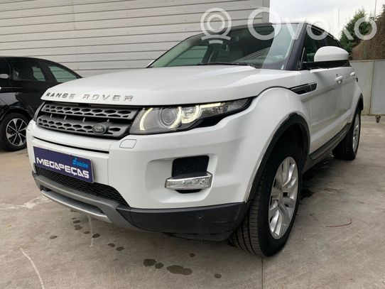 BJ3220708A Land Rover Range Rover Evoque L538 Kita salono detalė, 43,30 ...