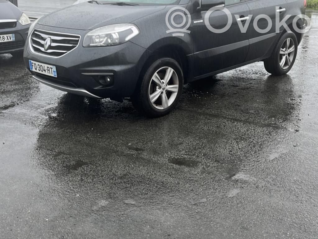 651000024R Renault Koleos I Couvercle, capot moteur, 200,00 € | OVOKO